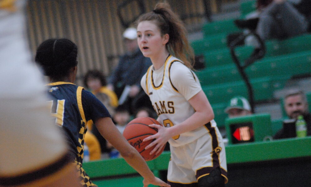 Ross, Madison suffer season-ending defeats – The Report Ohio